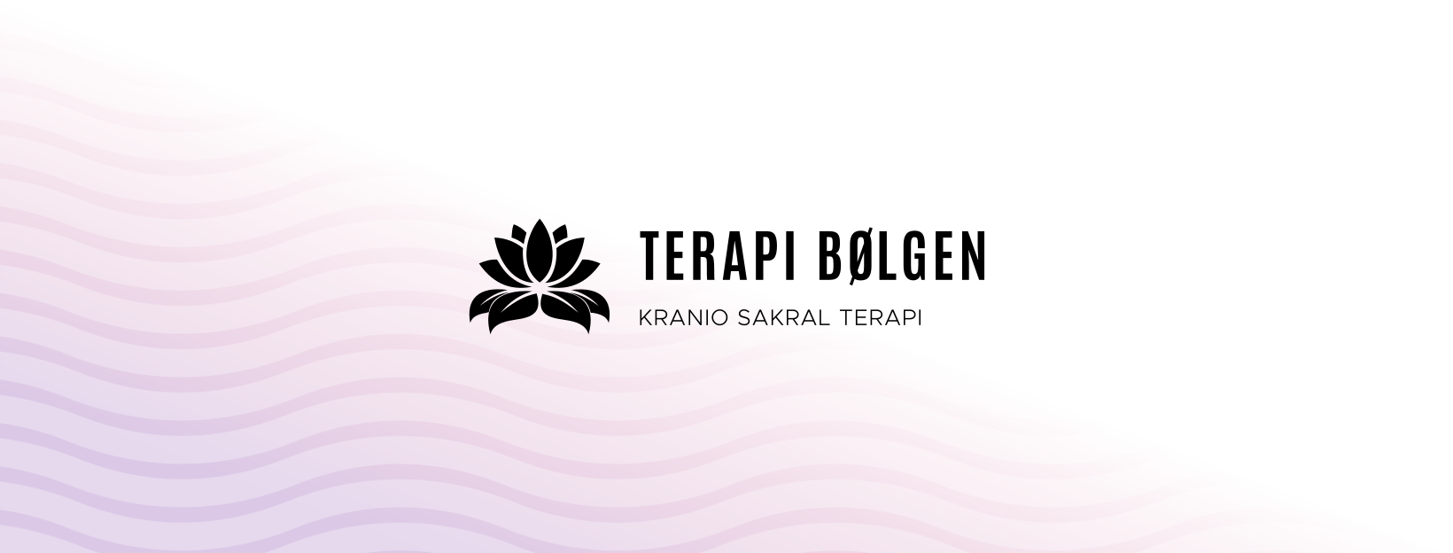 Kranio Sakral Terapi – Kraniosakralterapibolgen